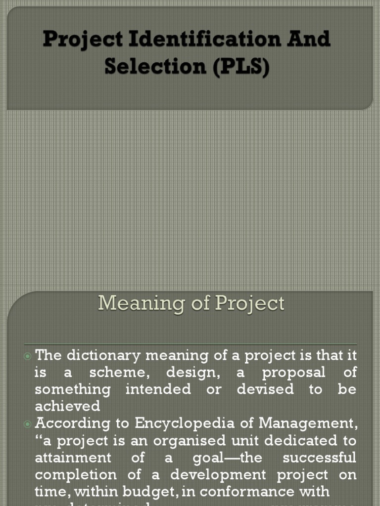 Project Identification | PDF | Entrepreneurship | Design