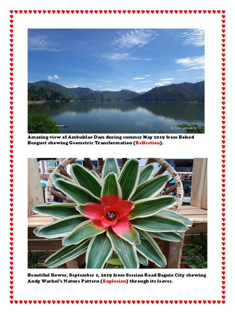 Geometric Patterns and Transformations Captured Through Nature ...