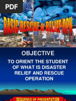 Ifrc Disaster Response Team Structure and Tools | PDF | International ...