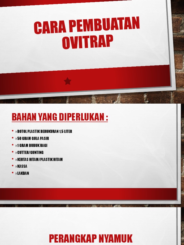 Pembuatan Ovitrap | PDF