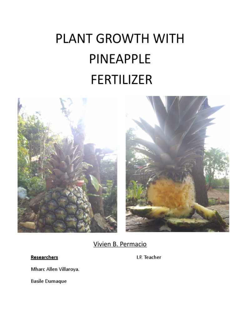 Plant Growth With Pineapple Fertilizer: Vivien B. Permacio | PDF ...