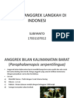 Anggrek Mekar Pontianak | PDF