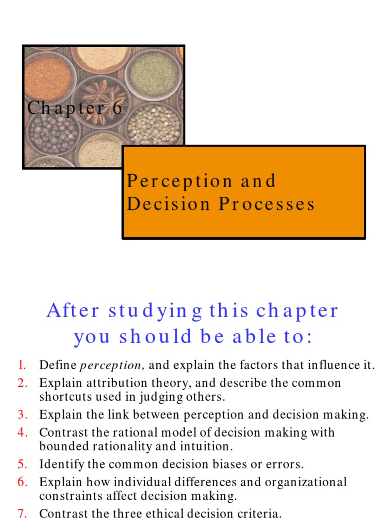 Organizational Perception | Download Free PDF | Bias | Decision Making