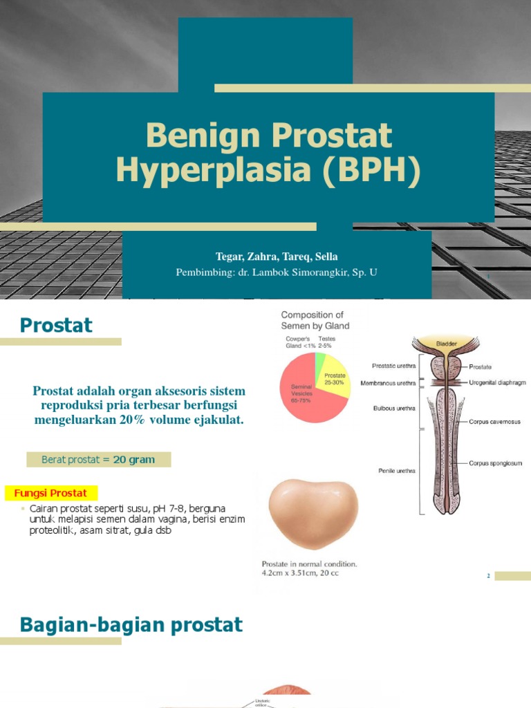 BPH Bimbingan | PDF