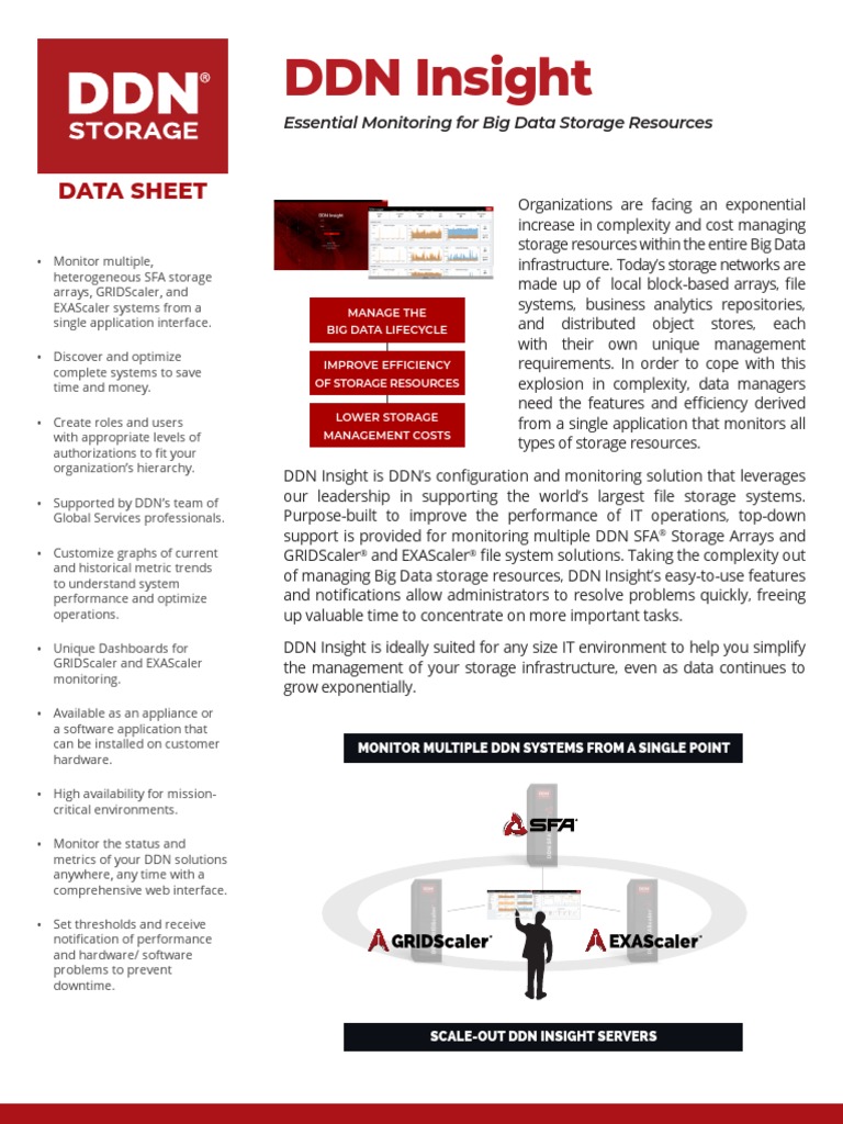 DDNStorage Insight Datasheet v4 | PDF | Data | Computer Architecture