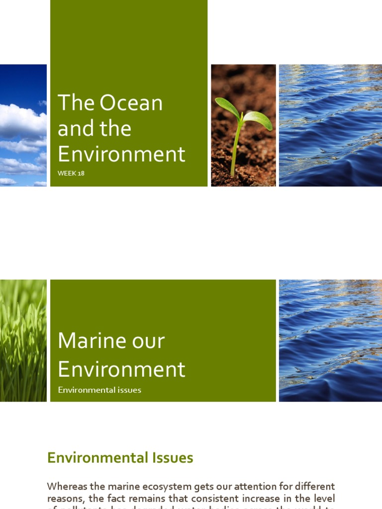 The Ocean and The Environment | PDF | Greenhouse Effect | Carbon Dioxide