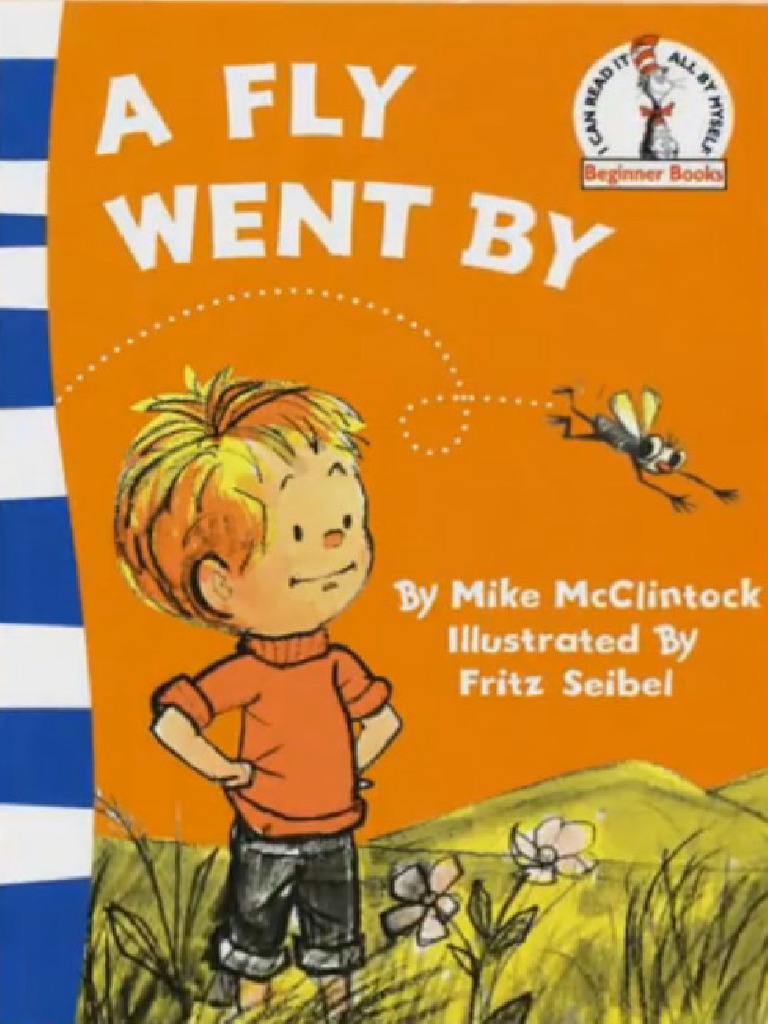 A Fly Went by | PDF