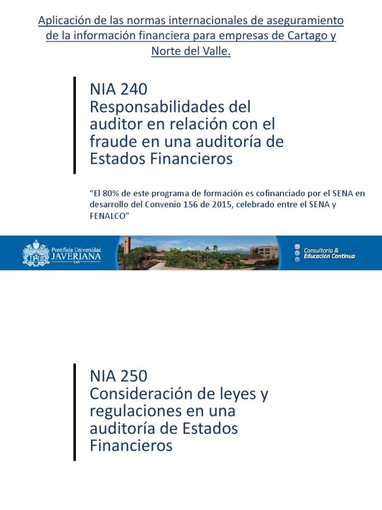 Nia 240 - Responsabilidades Del Auditor en Relacion Con El Fraude | PDF ...