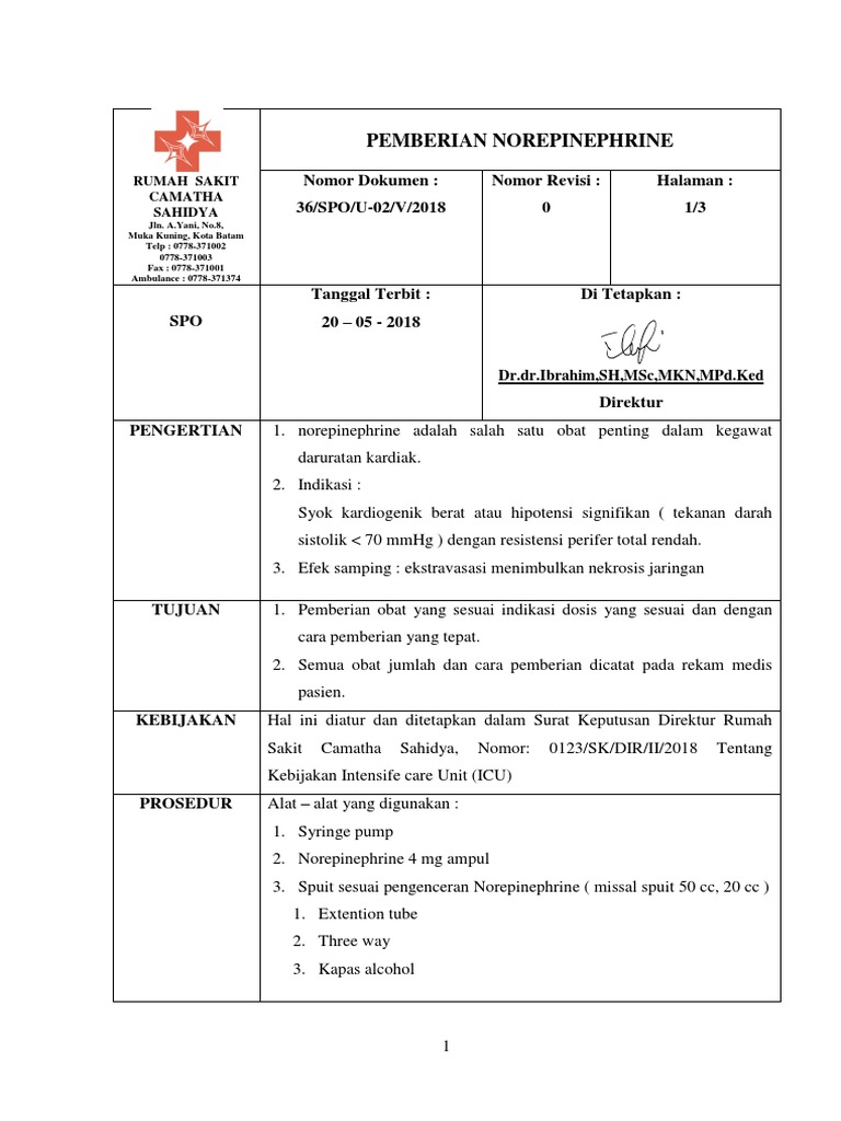 Prosedur Pemberian Norepinephrine | PDF