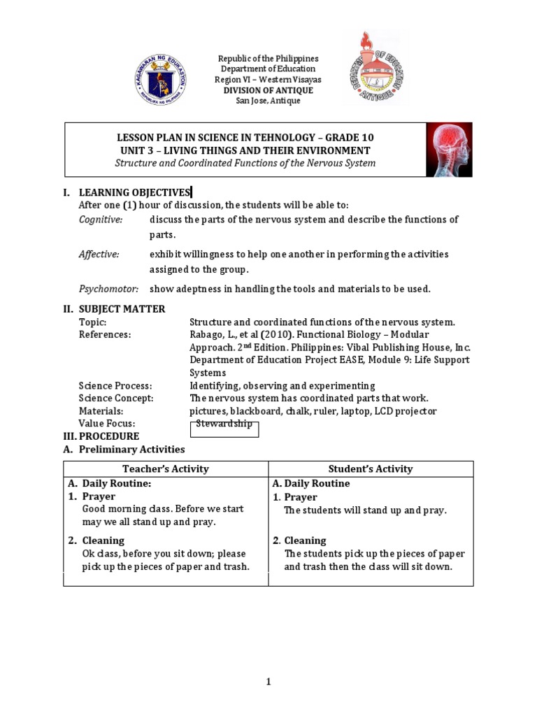 Nervous System Lesson Plan for Grade 10 | PDF | Nervous System ...