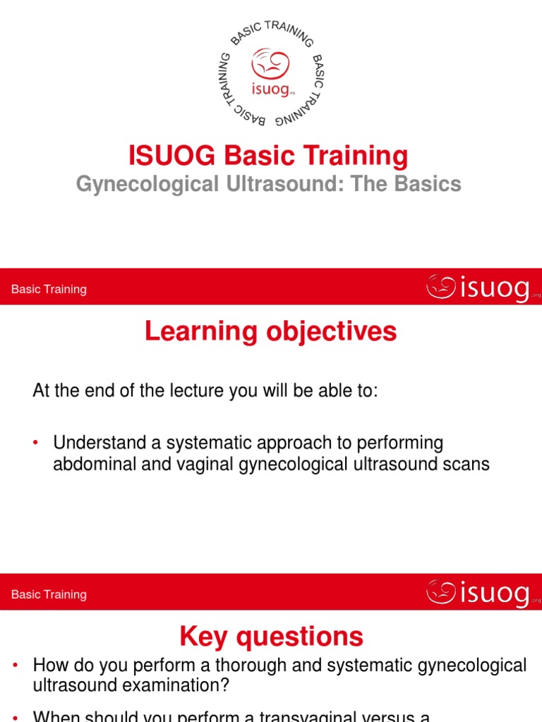 ISUOG Basic Training: Gynecological Ultrasound: The Basics | PDF | Vagina | Uterus