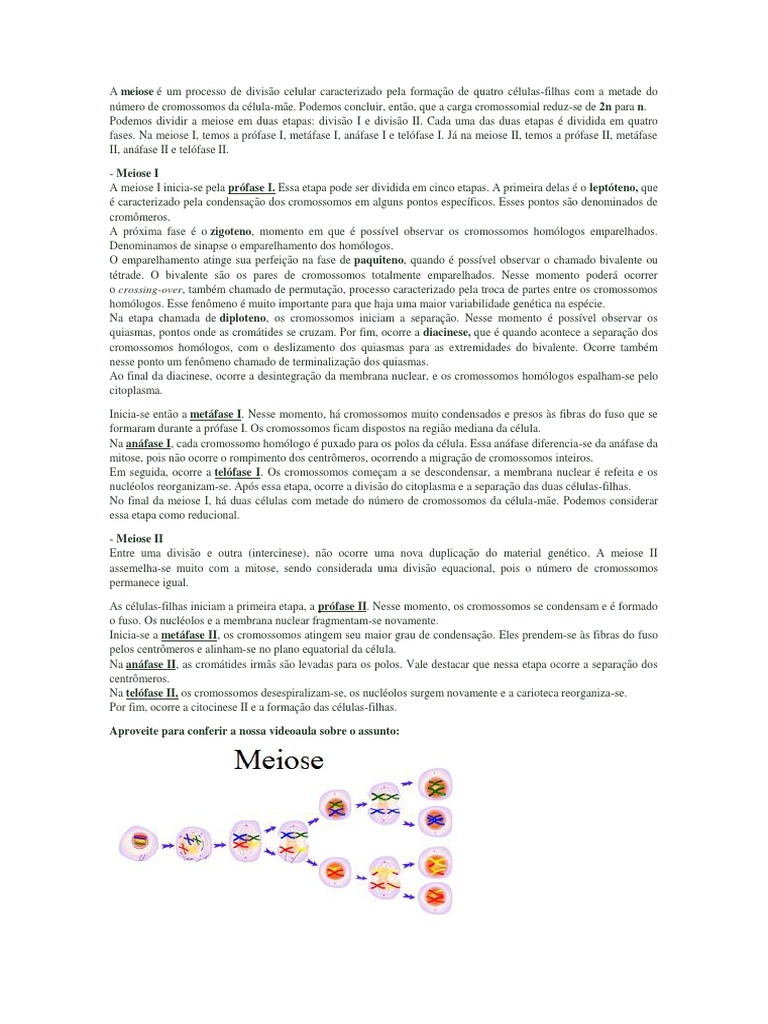 A Meiose Processo De Divisão Celular Que Reduz O Número De Cromossomos