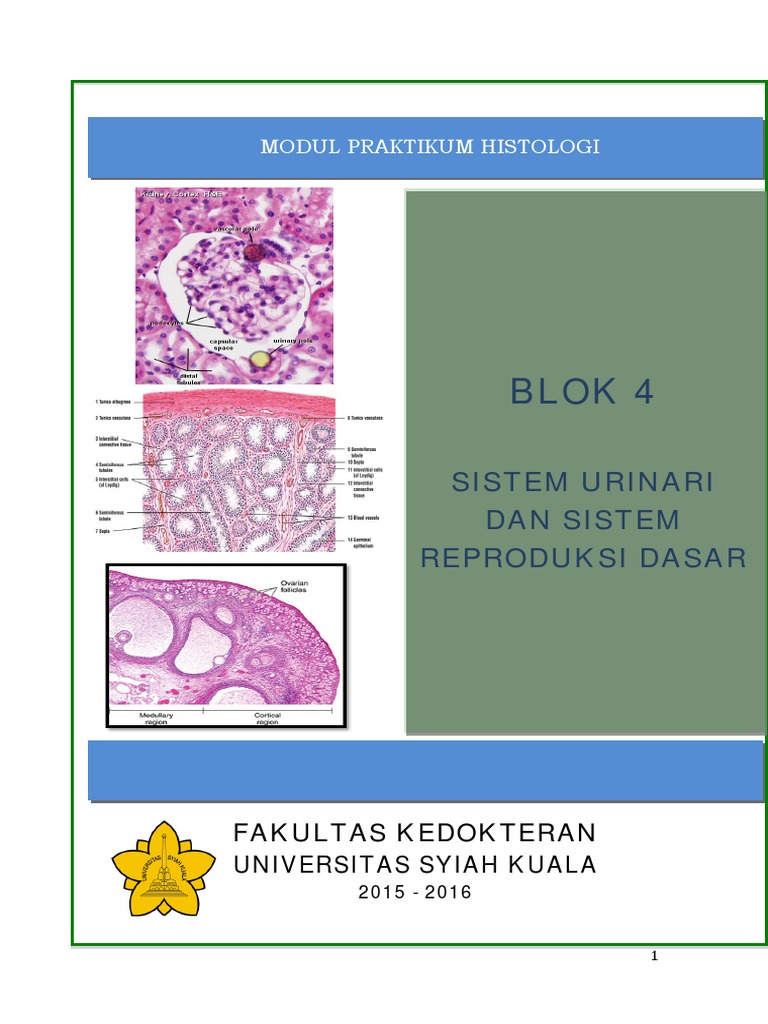 Modul Praktikum Histologi Blok 4 PDF | PDF