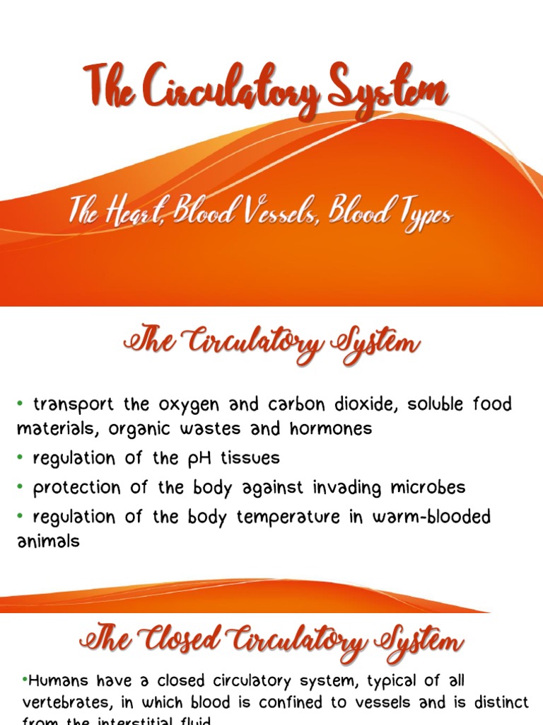 Gen Bio 2 Circulatory System | PDF | Circulatory System | Heart Valve