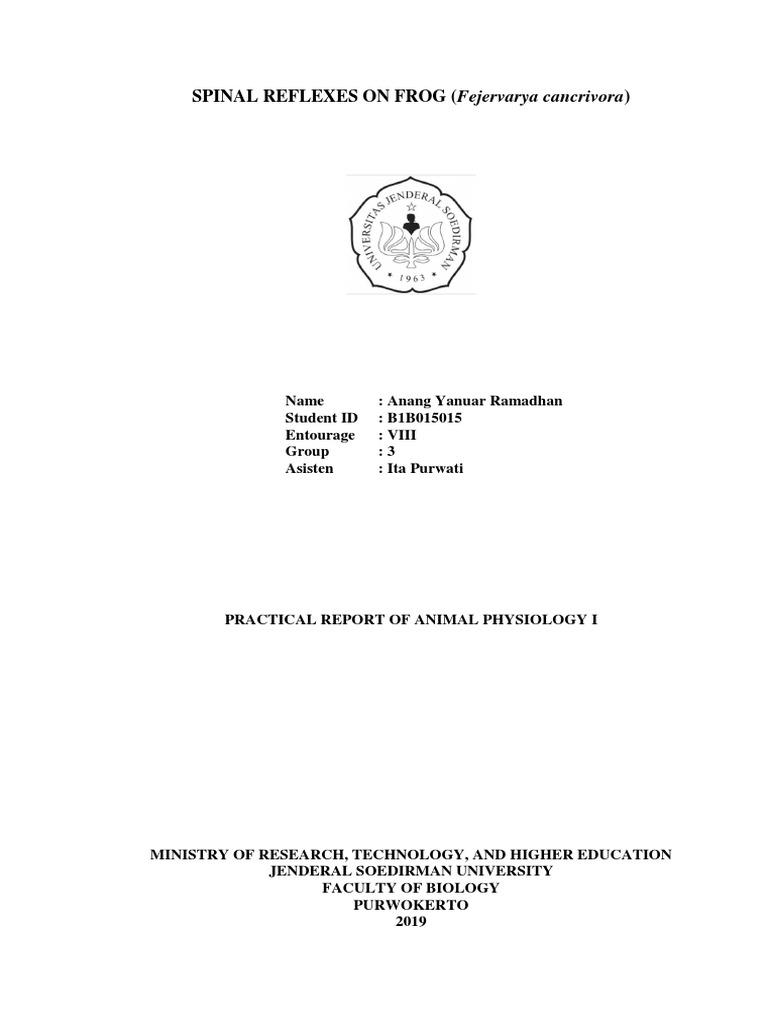 Refleks Spinal (Revised) | PDF | Nervous System | Neuron