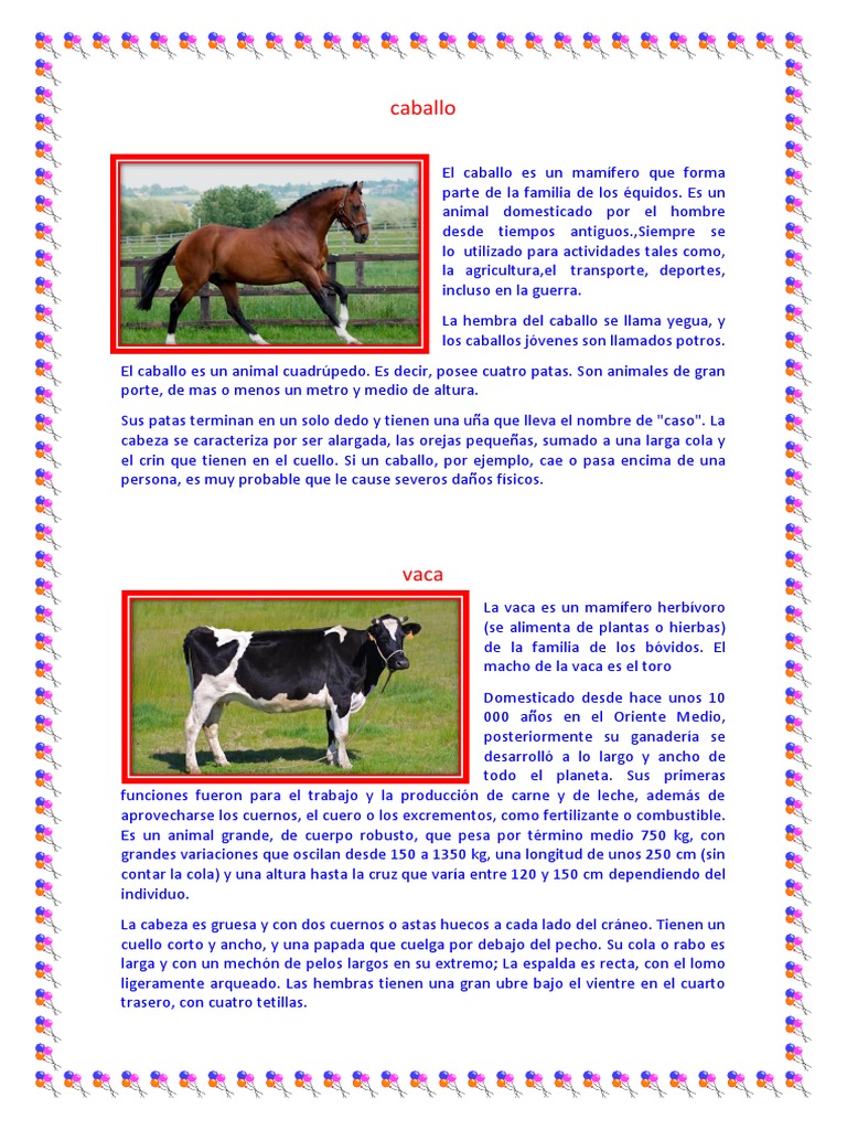 Descripcion de Animales | PDF | Caballos | Vacas