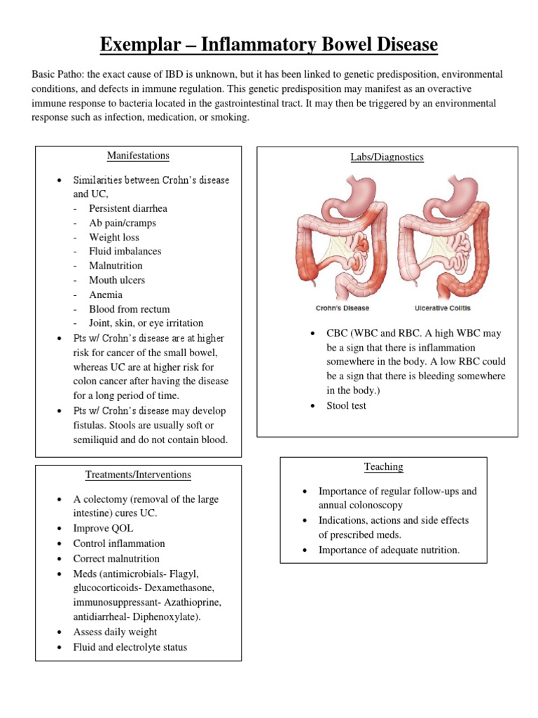Exemplar - Inflammatory Bowel Disease | PDF | Inflammatory Bowel ...