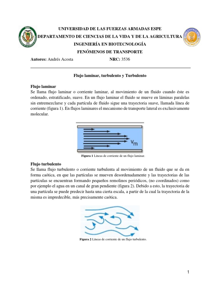 Flujo Laminar, Turbulento y Transitorio | PDF | Ciencia y matemáticas