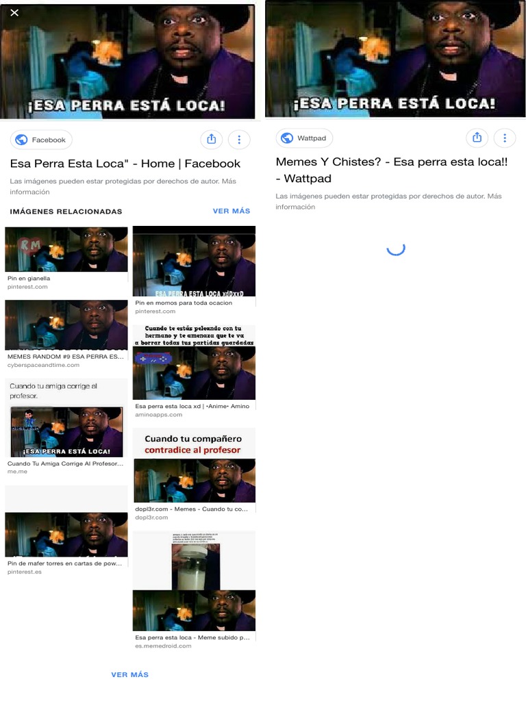 Origen del meme "Esa perra está loca" | PDF | Red mundial | Internet y web