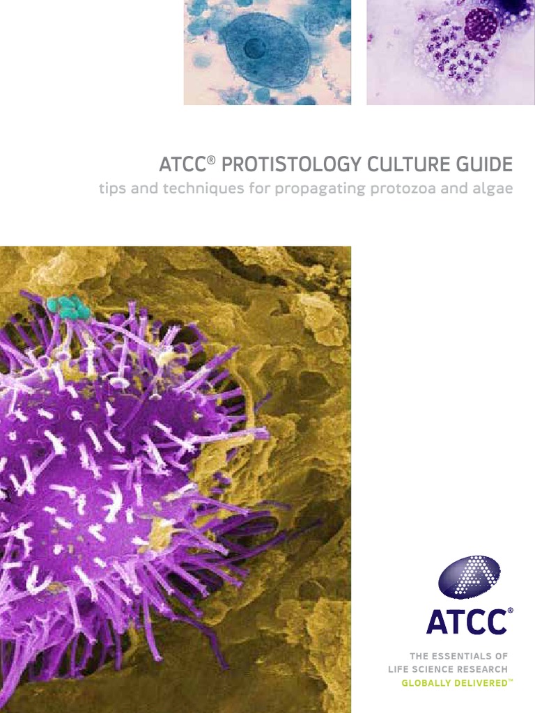 Protistology Culture Guide | PDF | Cell Culture | Algae