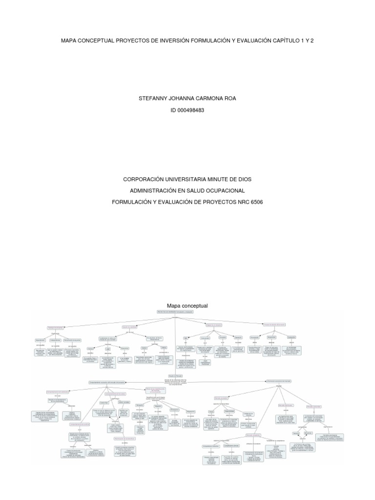 Mapa Conceptual: Proyectos de Inversión | PDF