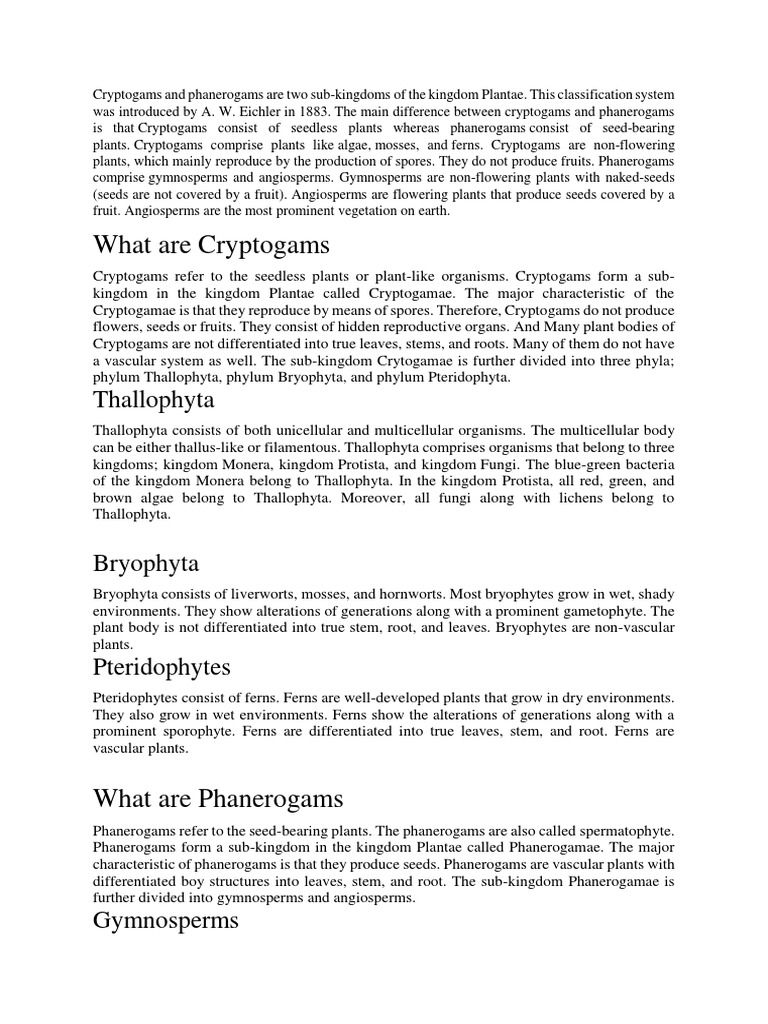 Cryptogams and Phanerogams Are Two Sub | PDF | Plants | Fern