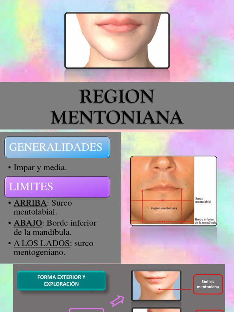 Region Mentoniana | PDF | Anatomia animal | Cabeza y cuello humanos
