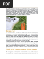 El Ciclo de Vida Del Conejo | PDF