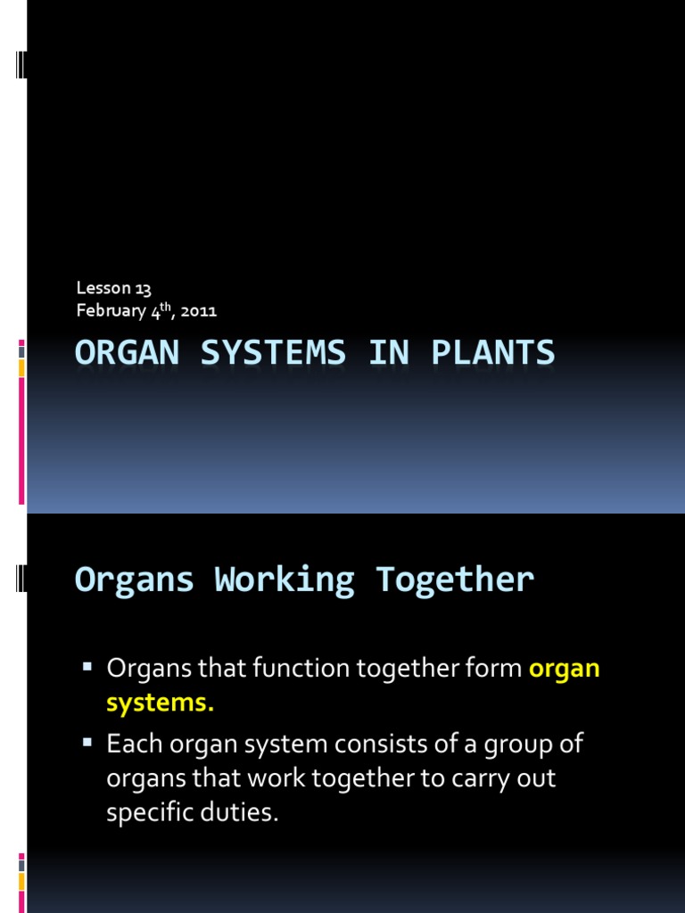Plant Organ Systems Overview | PDF | Home & Garden
