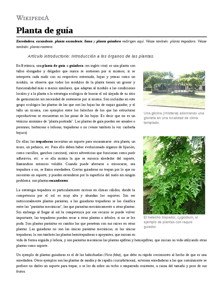 Planta de Guía | PDF | Horticultura y jardinería | Diseño ambiental