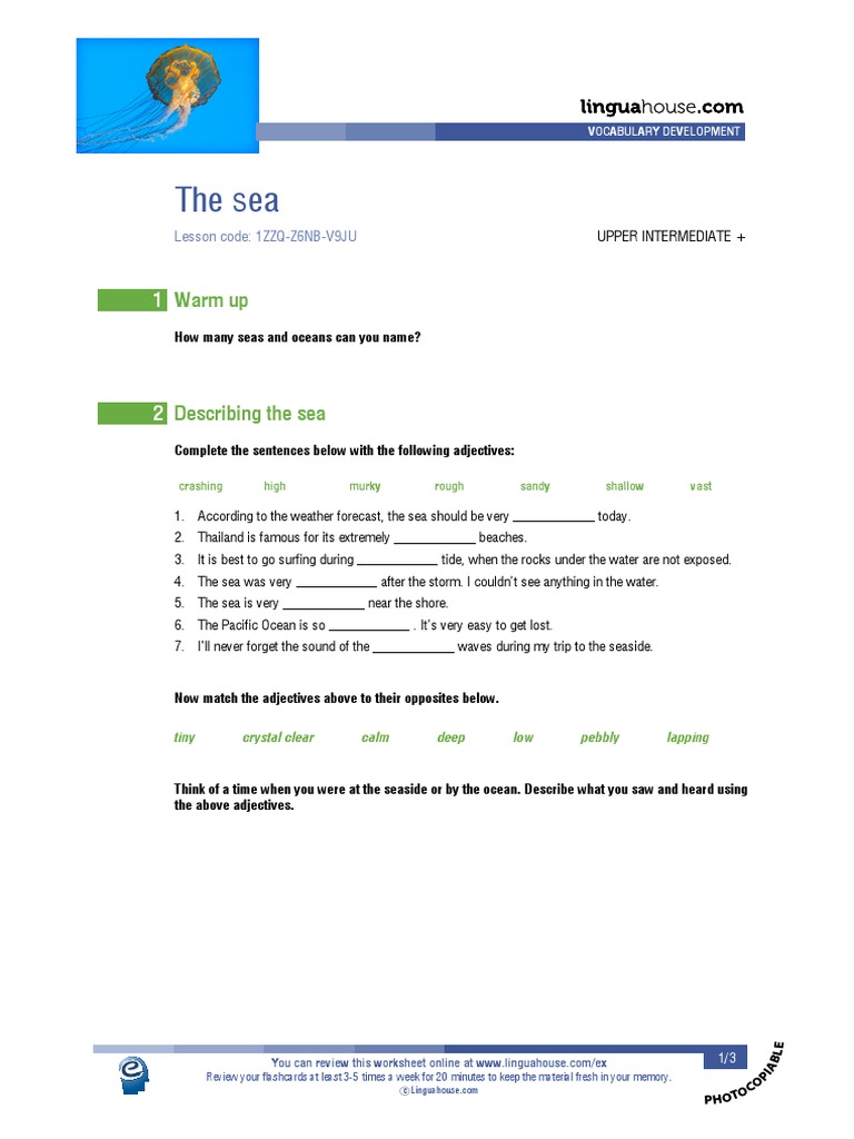 The Sea | PDF | Marine Biology | Sea