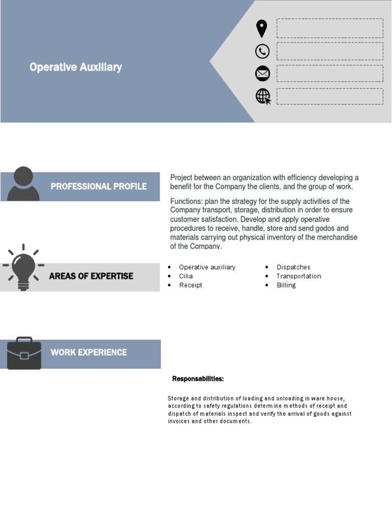 Operative Auxiliary: Professional Profile | PDF | Business
