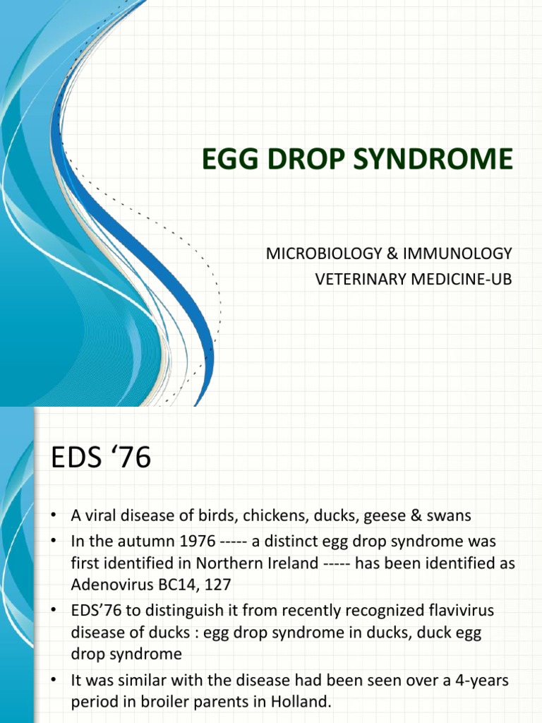 Egg Drop Syndrome | PDF | Microbiology | Medical Specialties