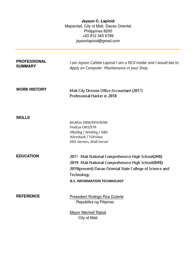 Jayson C. Lapinid: IT Professional Resume | PDF | Business
