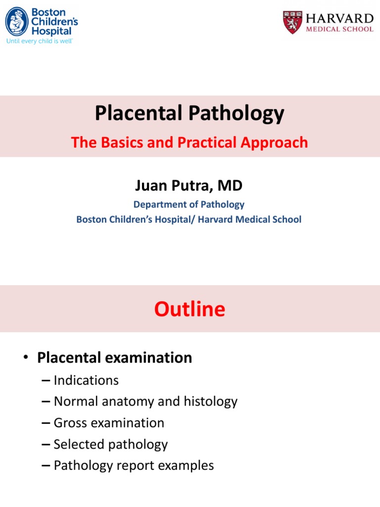 Placental Pathology | PDF | Placenta | Fetus