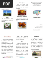 La Bandera Del Estado Falcon | PDF | Los símbolos | Naturaleza