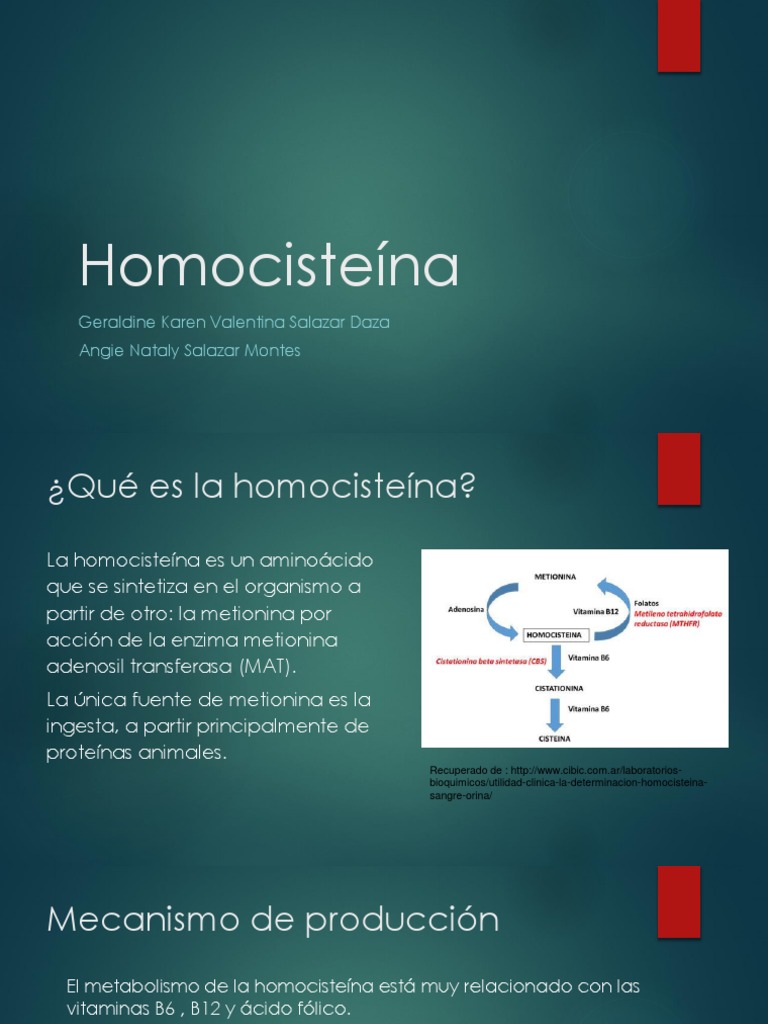 Homocisteina | PDF | Bioquímica | Química