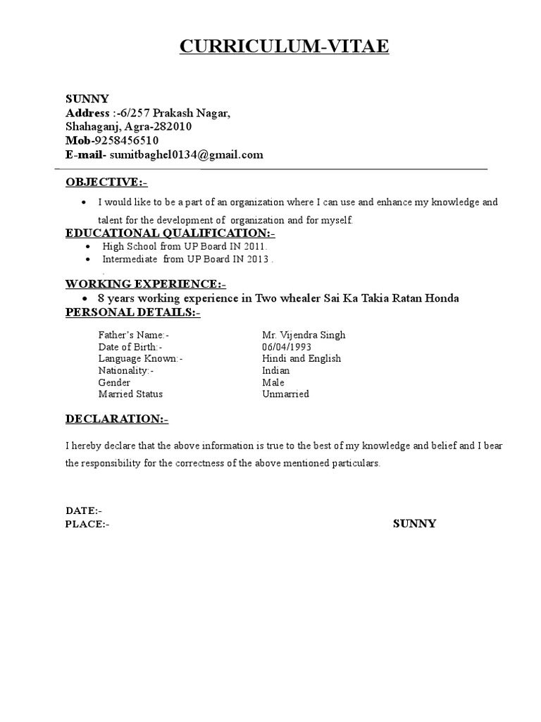 A Concise Curriculum Vitae Highlighting Sunny's Educational ...