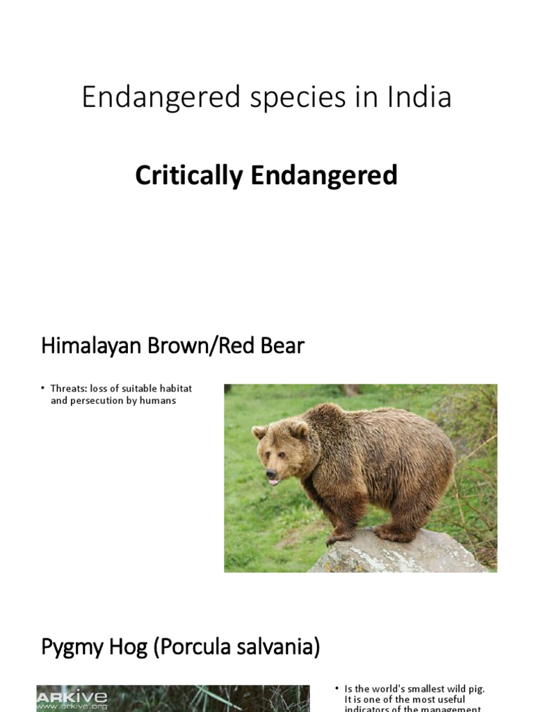 Endangered Species in India | PDF | Himalayas | Fauna Of Asia