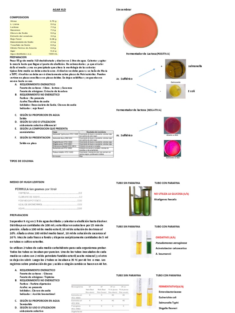 Preparación y Uso de Agar XLD | PDF | Sustancias químicas | Química