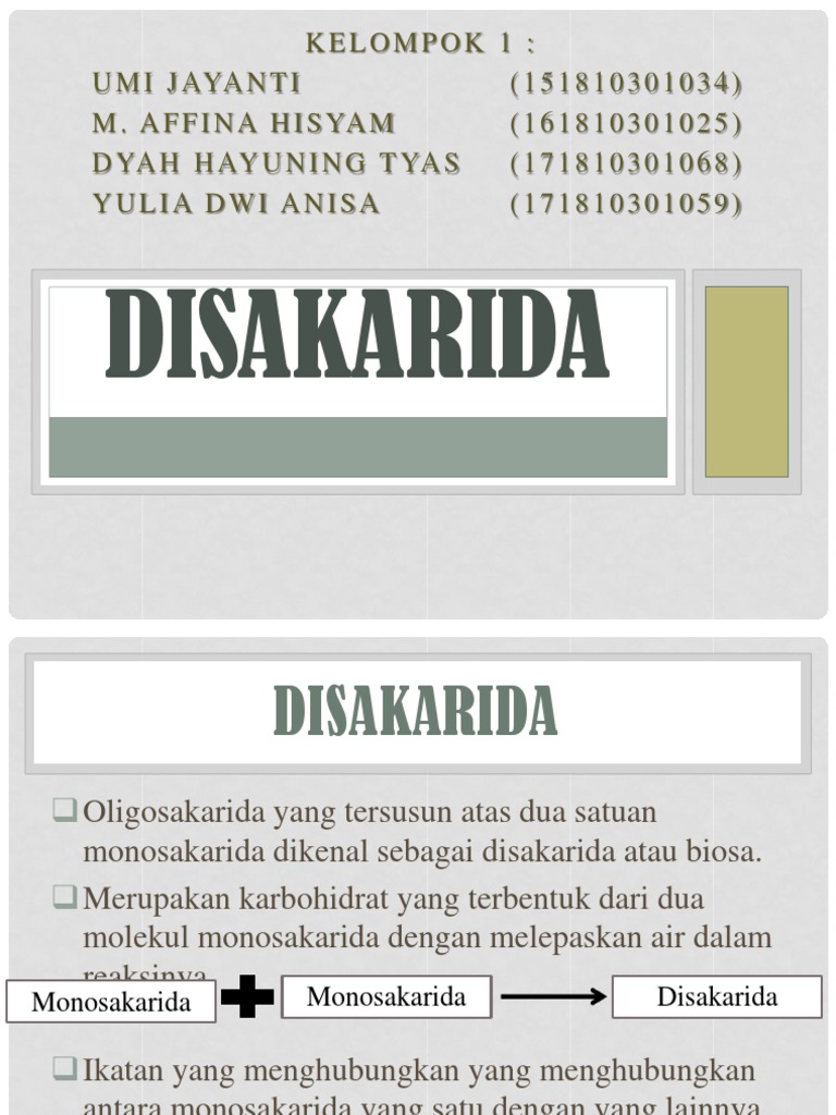 Disakarida | PDF
