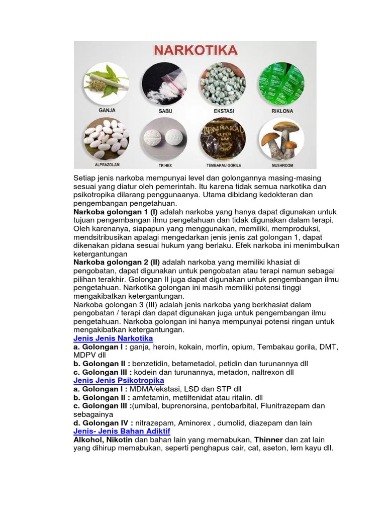 Setiap Jenis Narkoba Mempunyai Level Dan Golongannya Masing | PDF ...