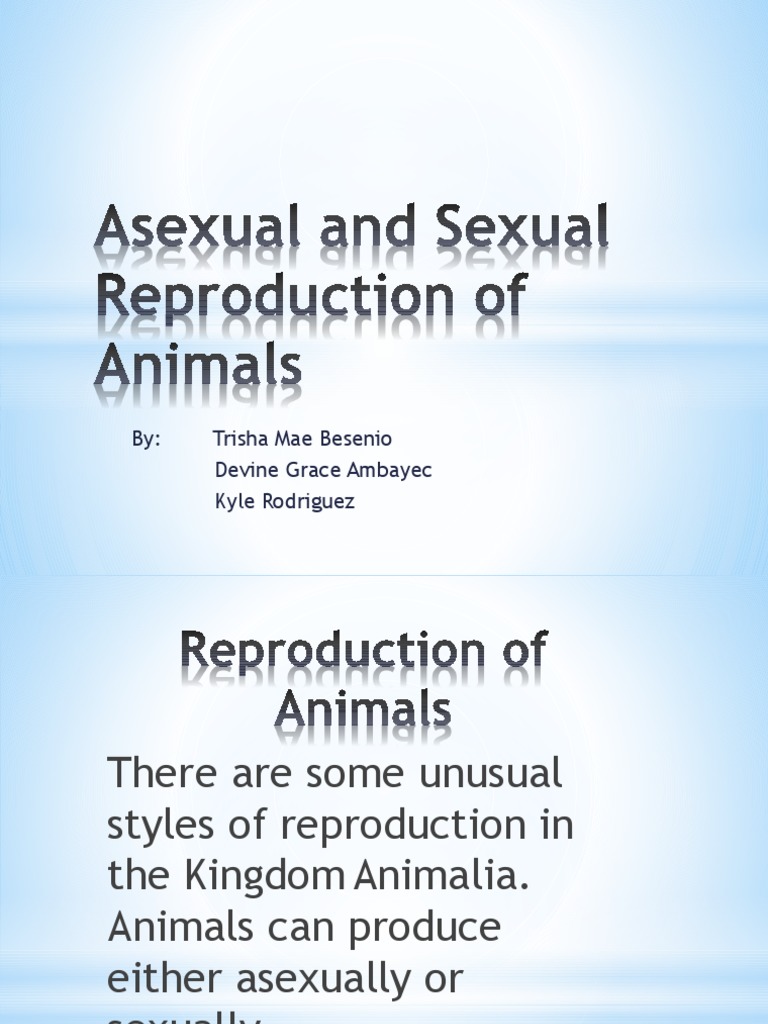 Sexual Reproductions | PDF | Egg | Sexual Reproduction