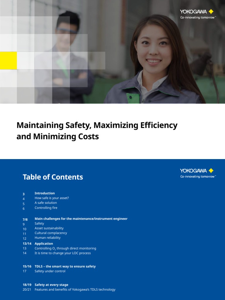 Maintaining Safety, Maximizing Efficiency and Minimizing Costs | PDF ...