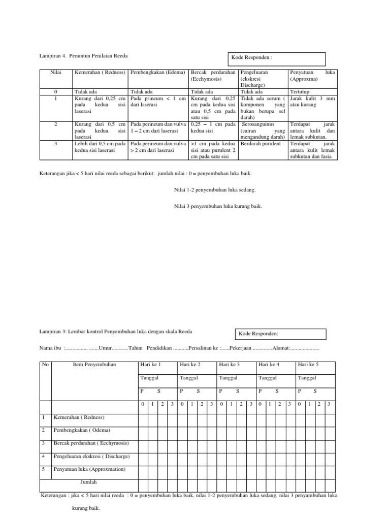Lampiran 1 Skala Reeda | PDF