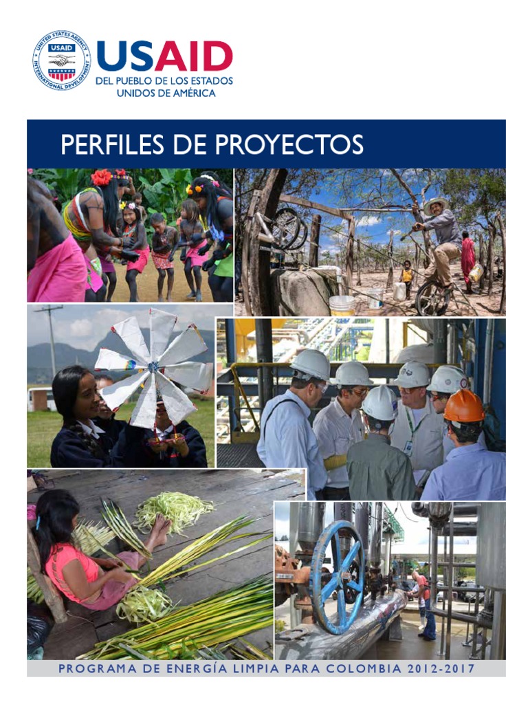 USAID CCEP 2 - Perfiles de Proyectos | PDF | Planificación ...