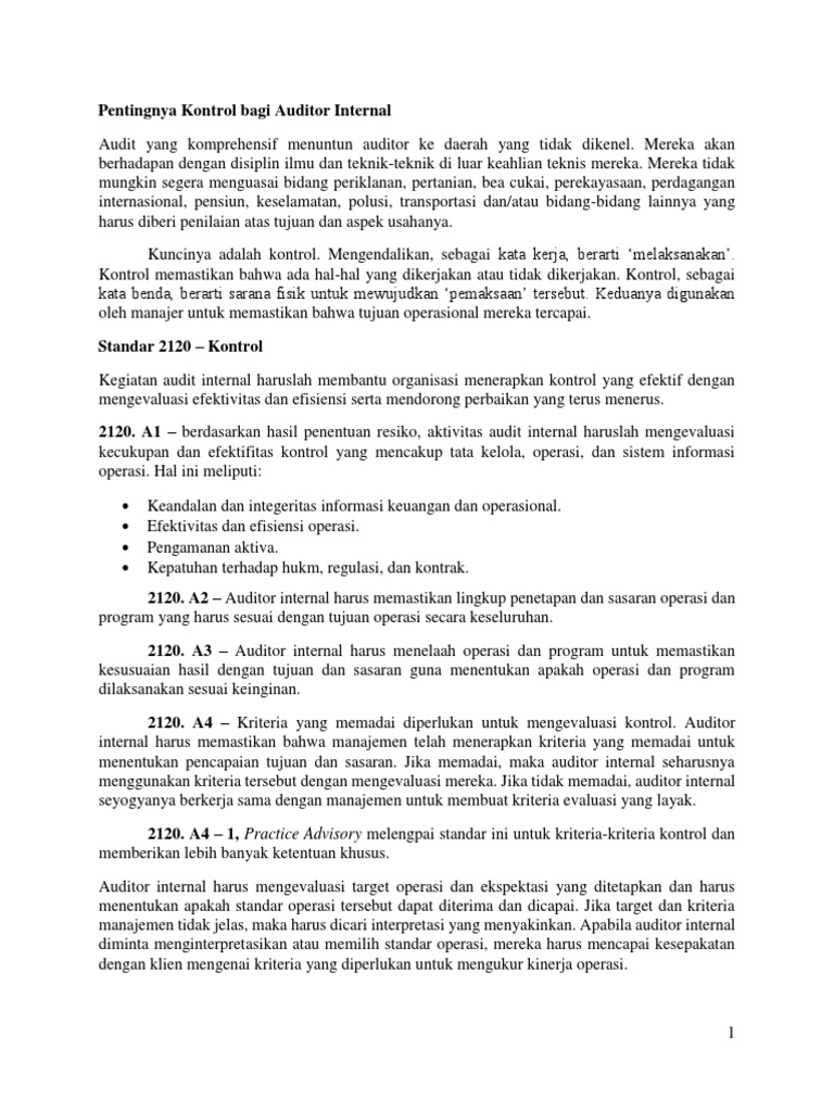 Internal Audit Bab 1 | PDF