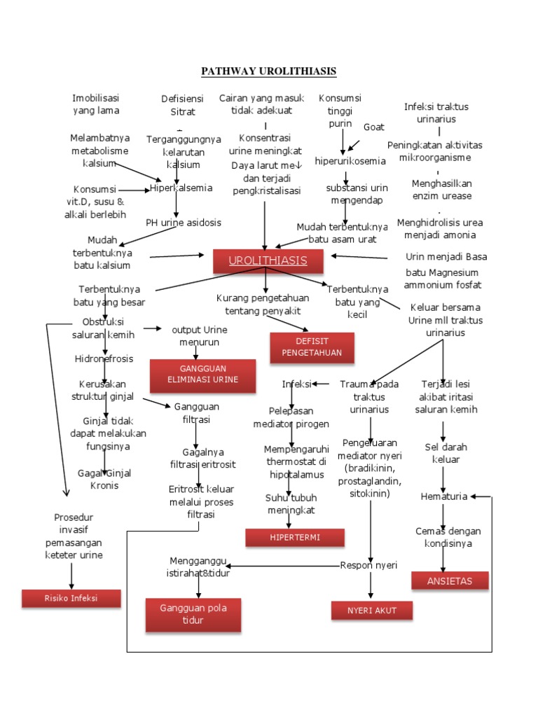 UROLITHIASIS PATHWAY | PDF