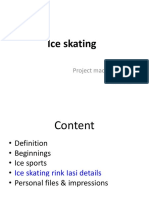 Top 17 Ice Sports Explained | PDF | Sledding | Ice Hockey