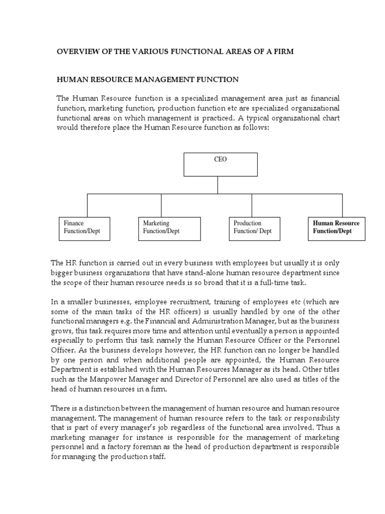 Overview of Business Functions | PDF | Market Segmentation | Marketing